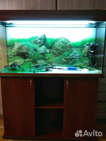 Аквариум + тумба + внешник и весь фарш