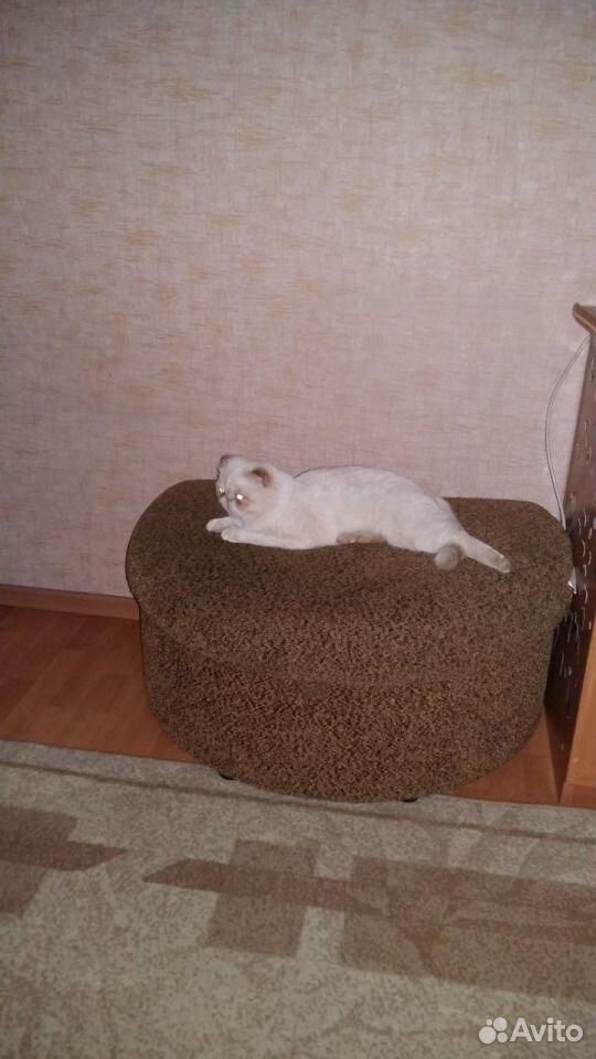 Вязка