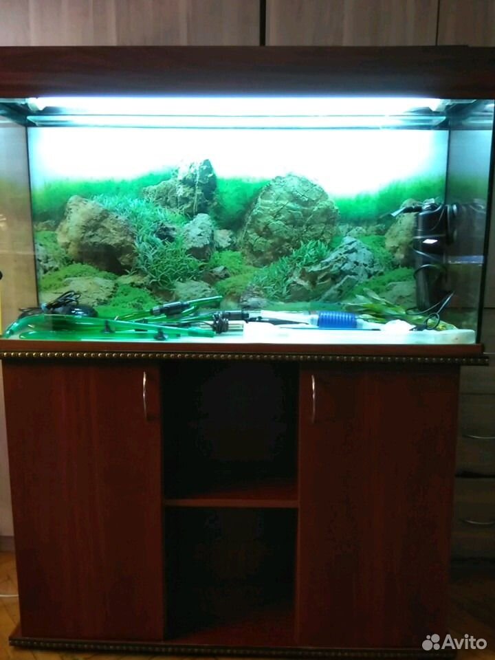 Аквариум + тумба + внешник и весь фарш
