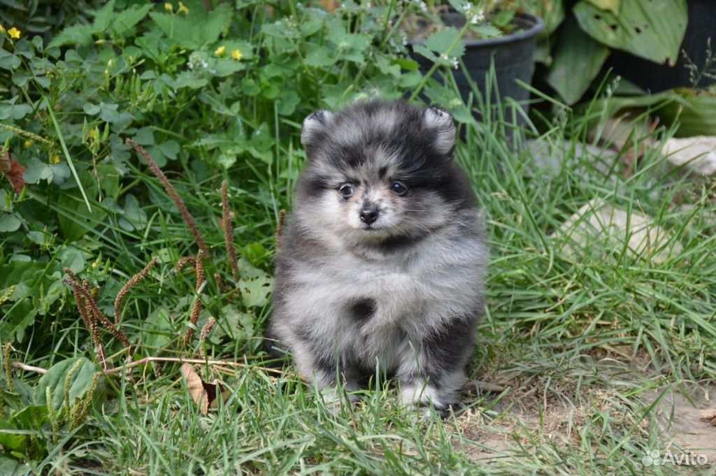 Мраморная девочка