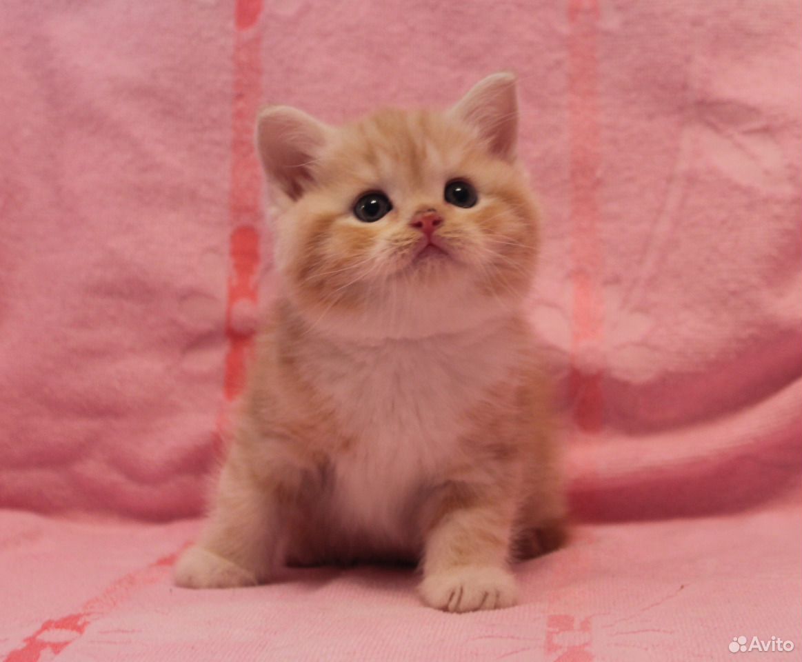 Солнечный мальчик