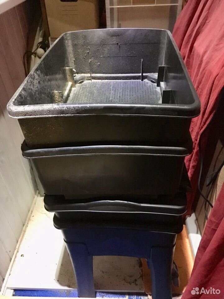 Красные калифорнийские черви