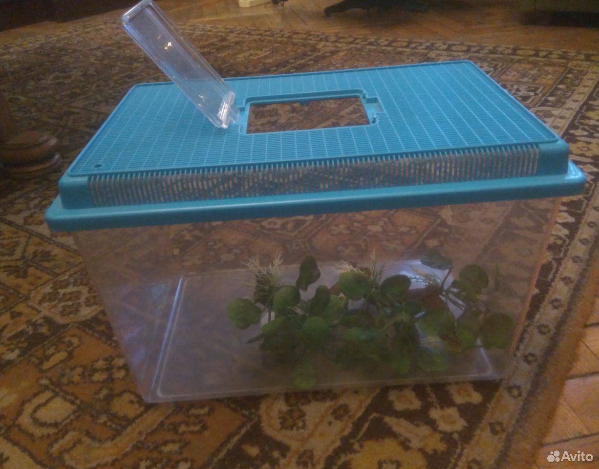 Аквариум (бокс) пластиковый для мелких животных