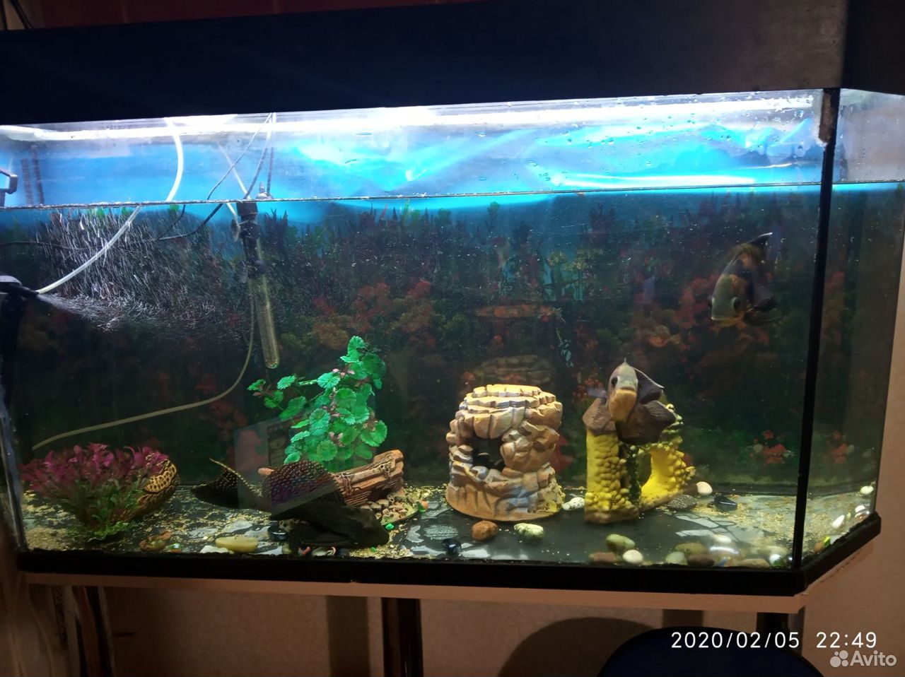 Аквариум 270л