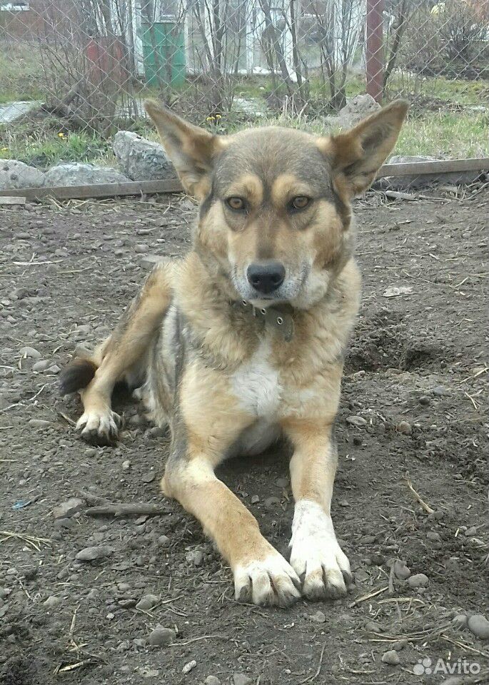 Супер - охрана