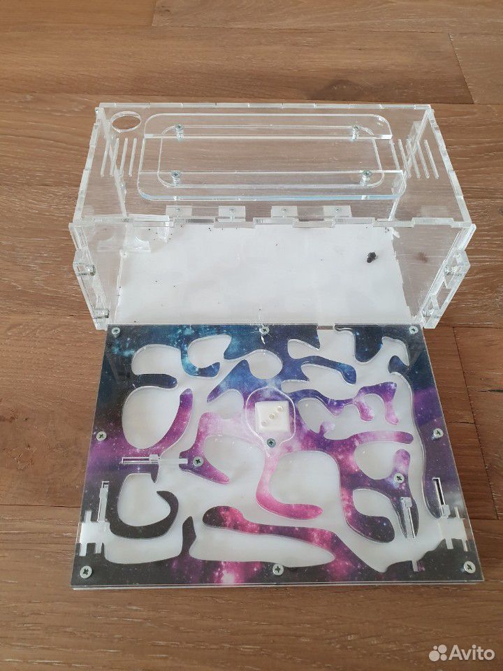 Муравьина ферма antplanet " Космос"