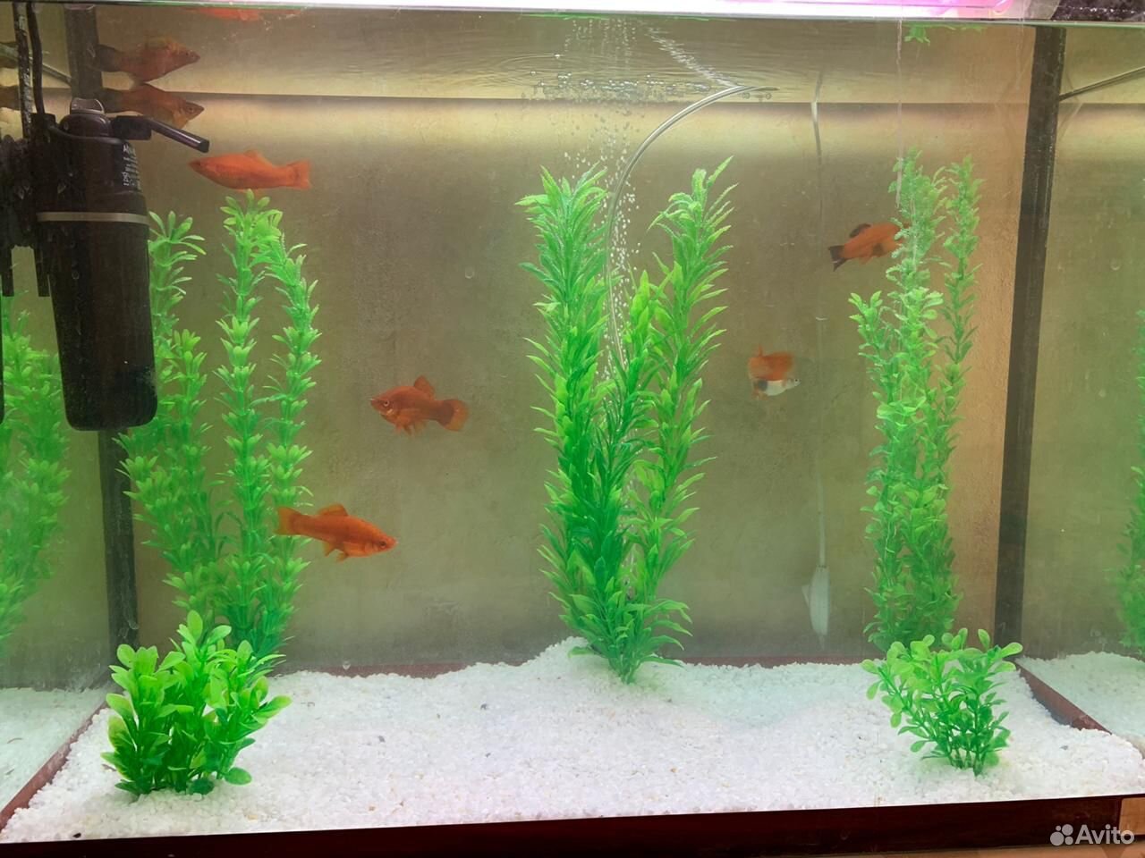 Аквариум 100 литров с тумбой