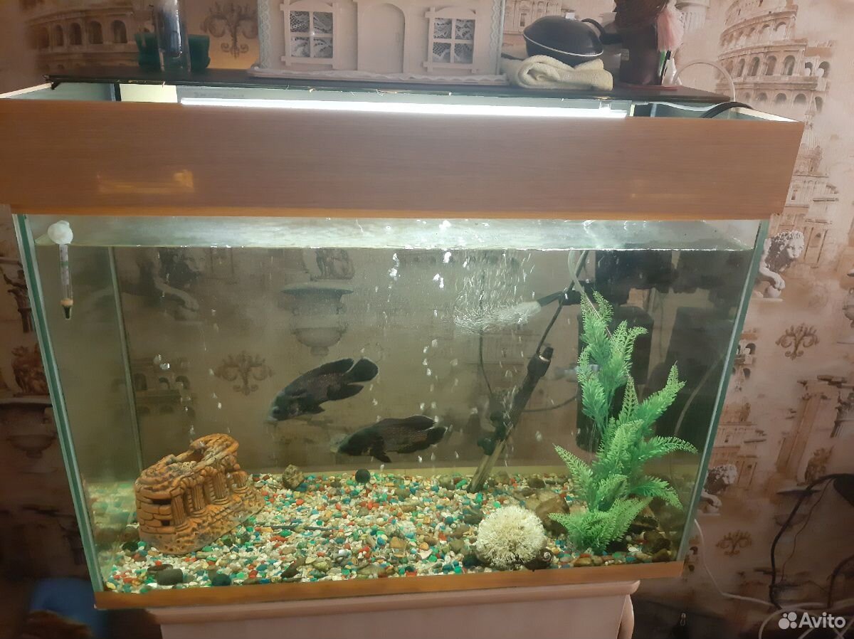 Готовый аквакомплекс