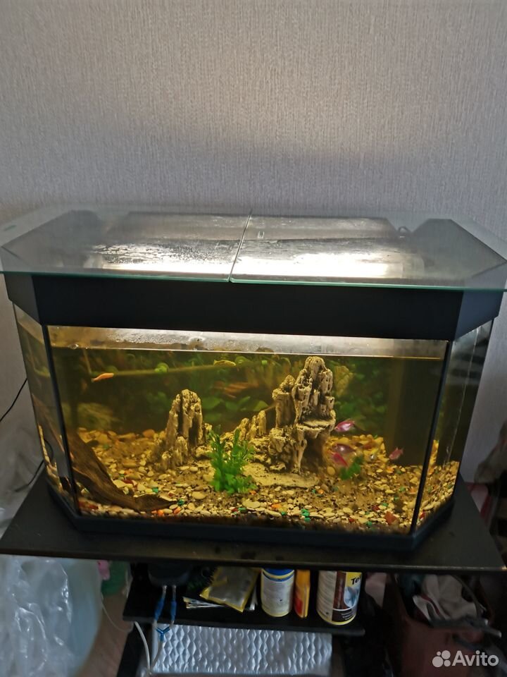 Аквариум Рыбки