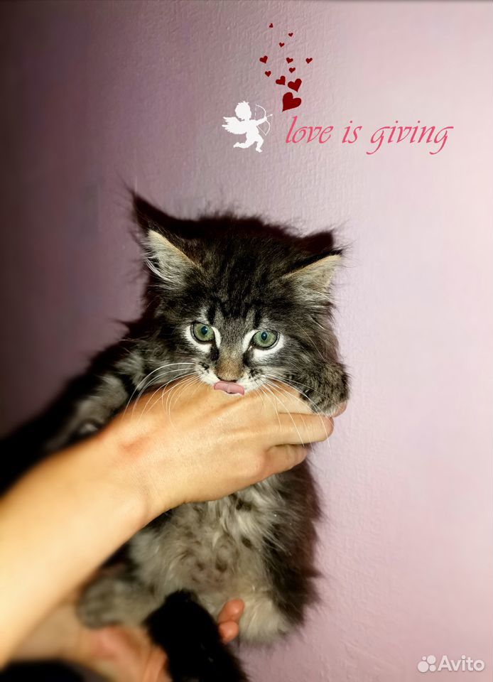 Маленький удачник