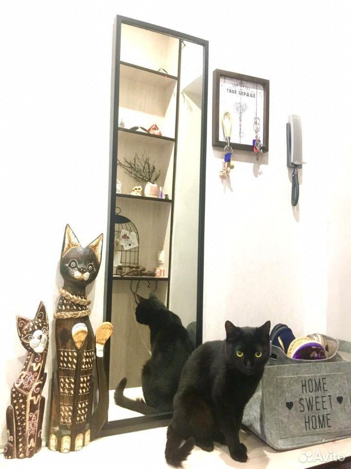 Чёрный принц