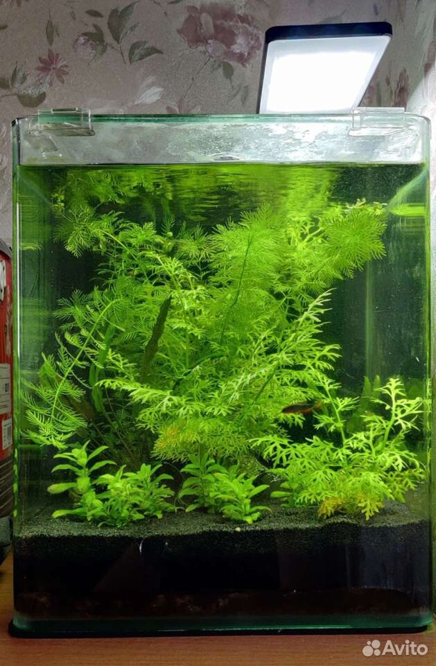 Аквариум 20л Dennerle nano cube полный комплект