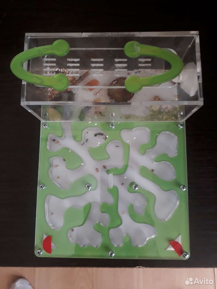 Фармикарий