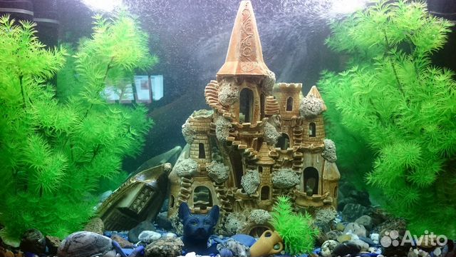 Аквариум