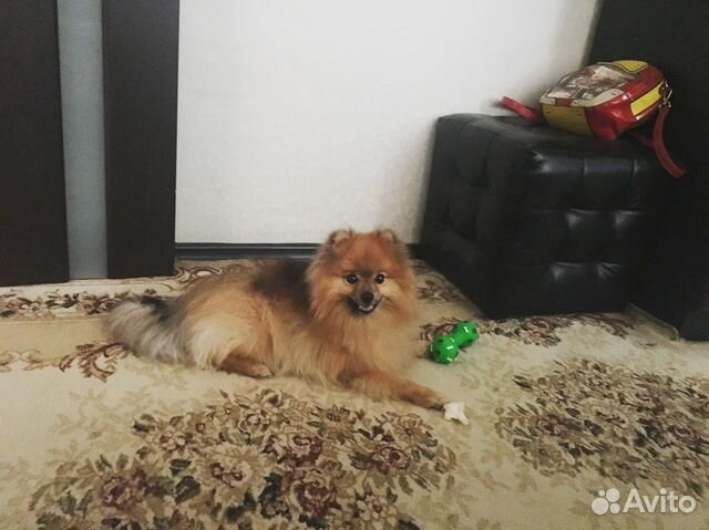Вязка