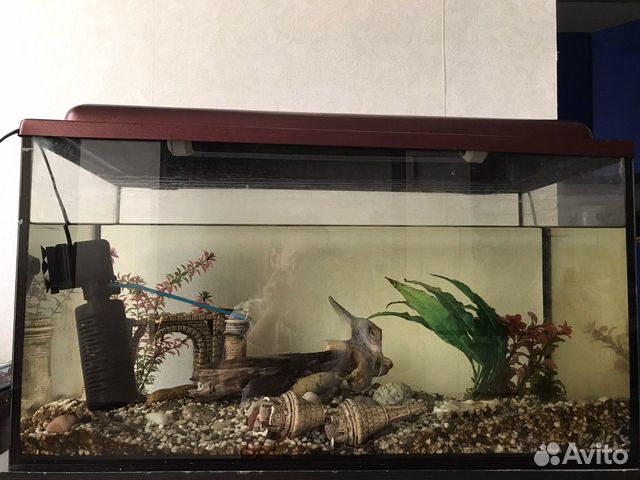 Аквариум