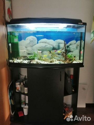 Аквариум