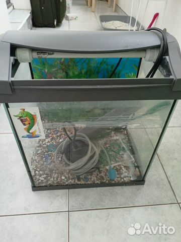 Аквариум