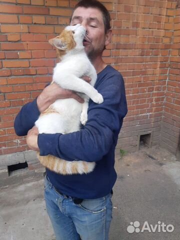 Отдам молодого кота в хорошие рукки