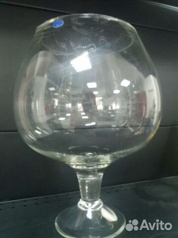 Аквариум, флорариум