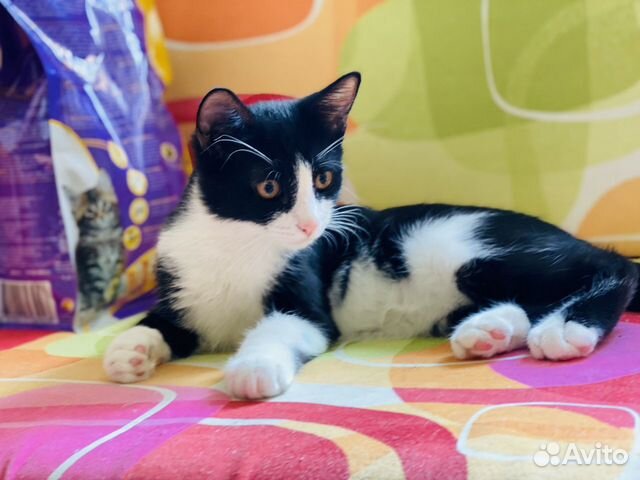 Ракета в добрые руки