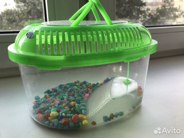 Аквариум для черепашек