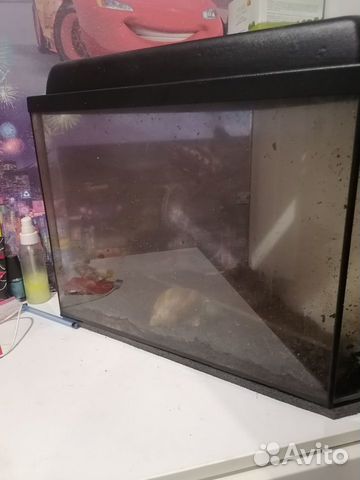 Аквариум