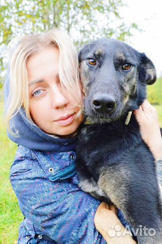 Собака в добрые руки. Милвй лютик ищет дом