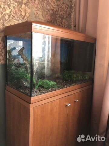 Аквариум Cayman 80