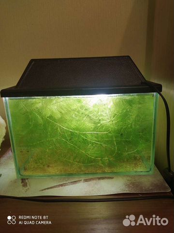 Аквариум 10 л