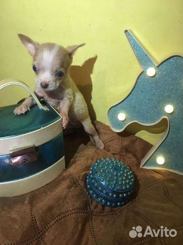 Мини малыш с голубыми глазами