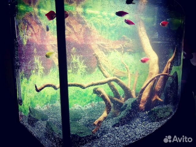 Украшение для аквариума