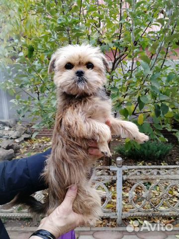 Сказочный малыш ищет новую семью