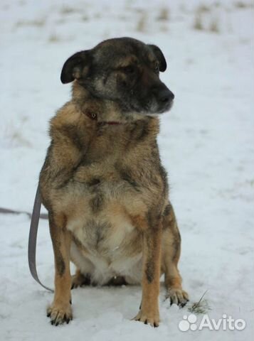 Подарите любовь Дуне, спасите ее