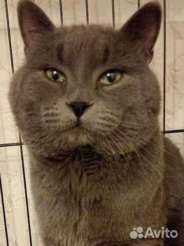 Британская