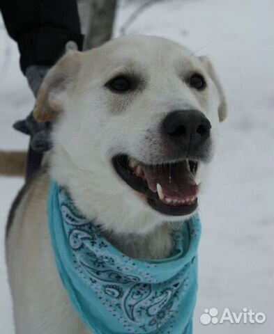 Малыш хочет дом, жить в холоде и без любви очень с