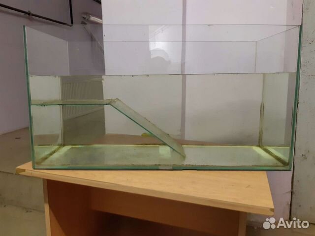 Черепашник