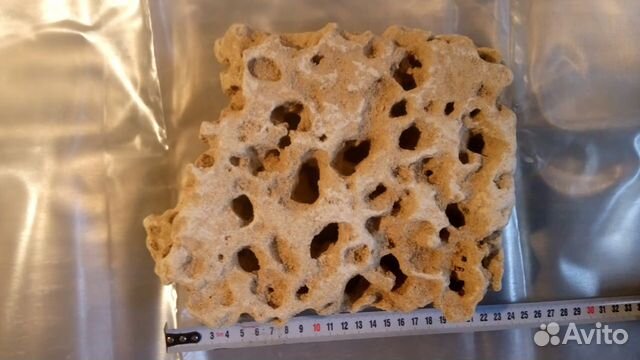 Песчаник в аквариум