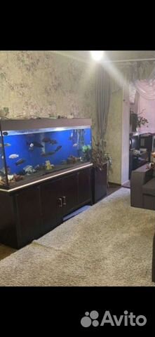 Аквариум 550л
