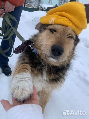 Бонифаций ищет семью