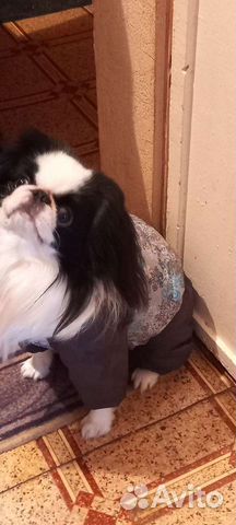 Жду невесту