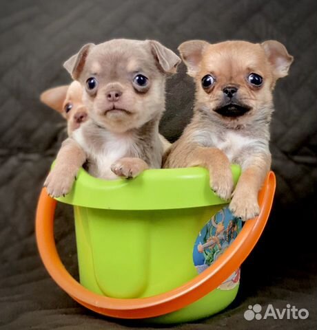 Антидепрессанты