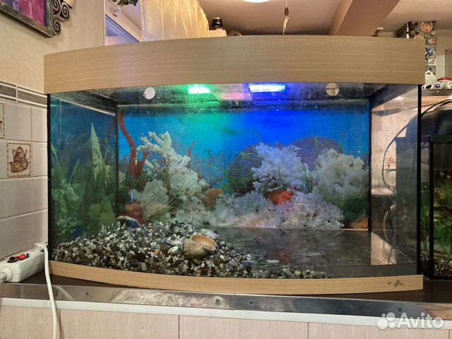 Аквариум 130 литров
