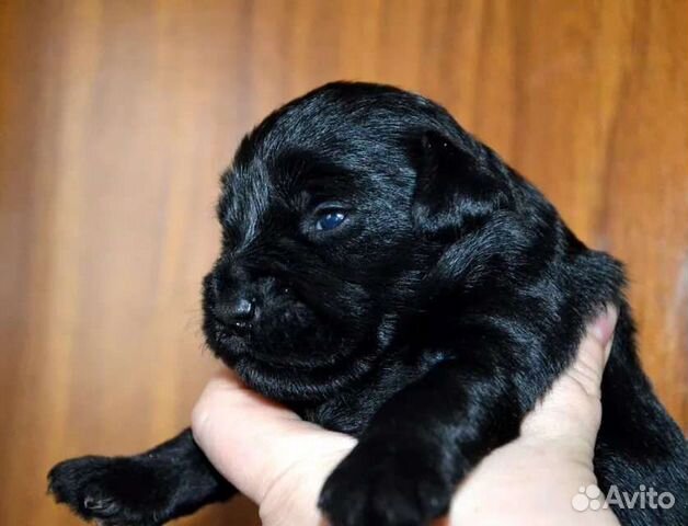 Самый обаятельный и привлекательный малыш