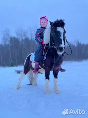 Катания на пони