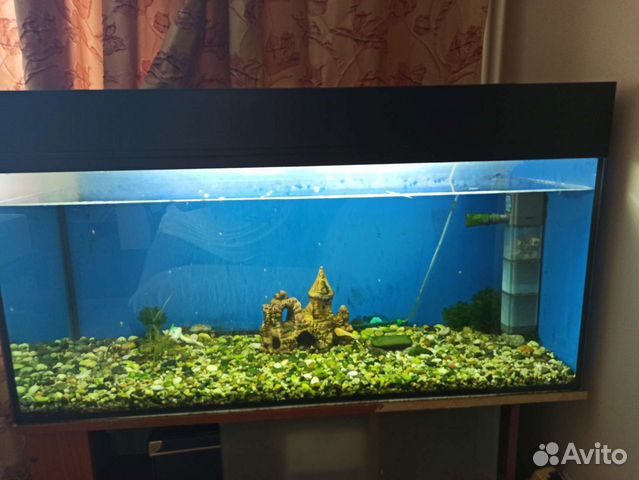 Аквариум 120 литров