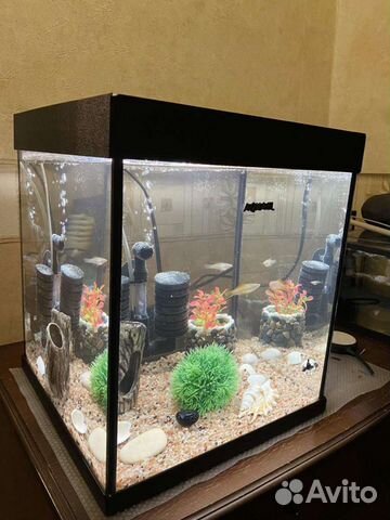 Аквариум aquael 30л. полный комплект. с рыбками