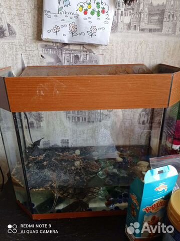 Террариум с черепахой