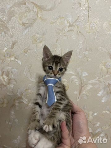 Мальчик Лео