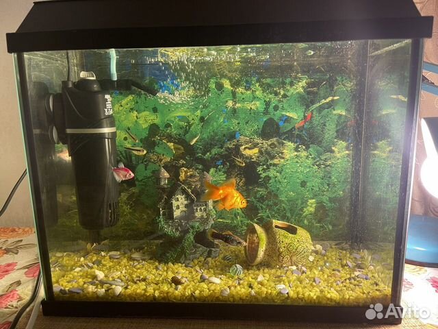 Аквариум